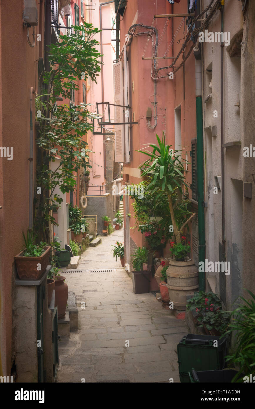 Old street decorated with green plants, Vernazza, Cinque Terre, Italy Stock Photo - Alamy