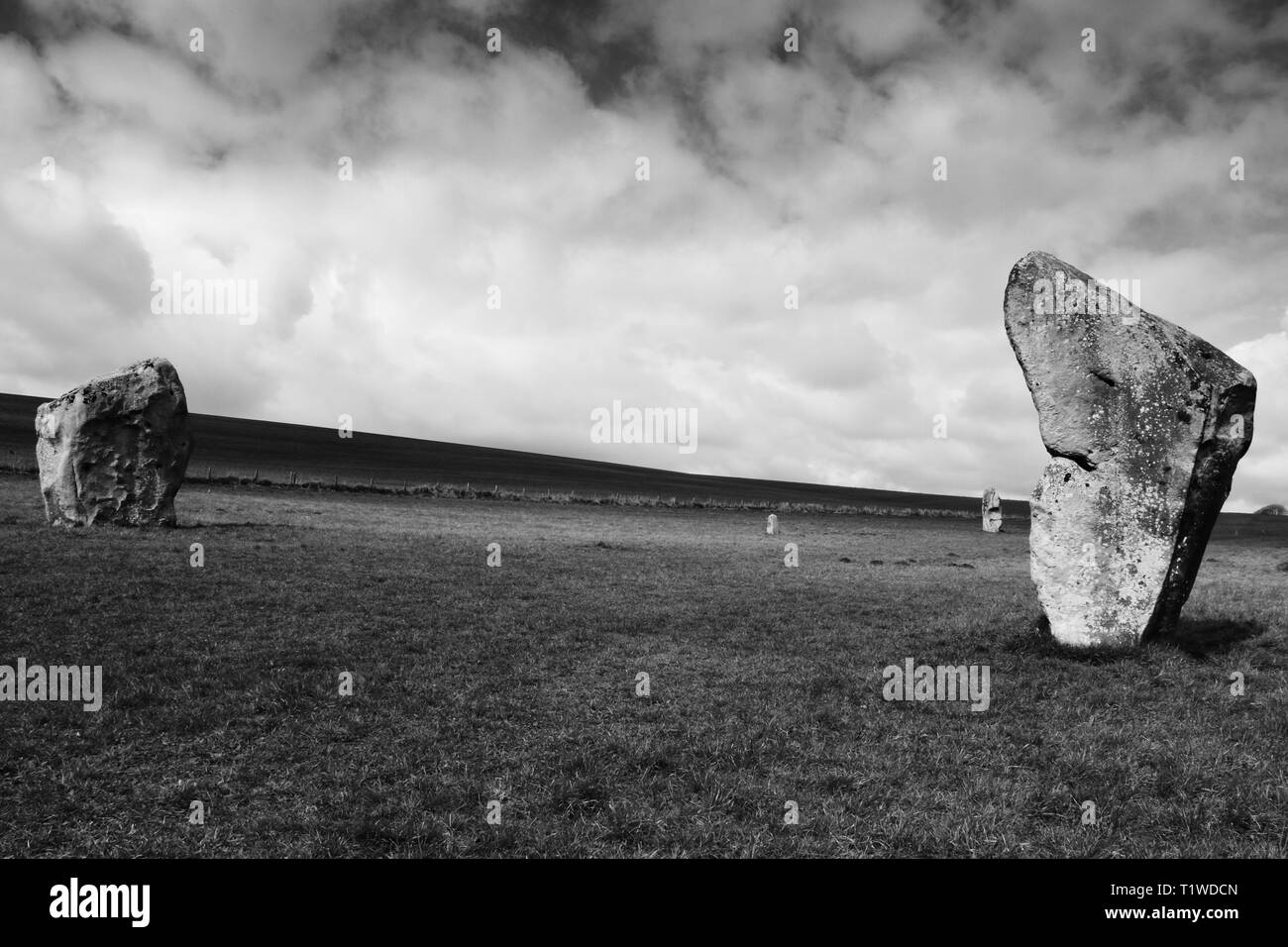 Avebury stone circles and the Avenue standing stones Stock Photo - Alamy