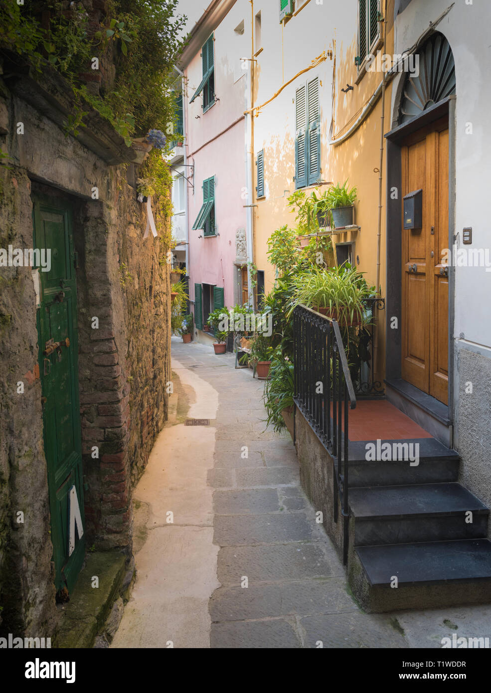 Beautiful view of scenic narrow alley with historic traditional houses ...