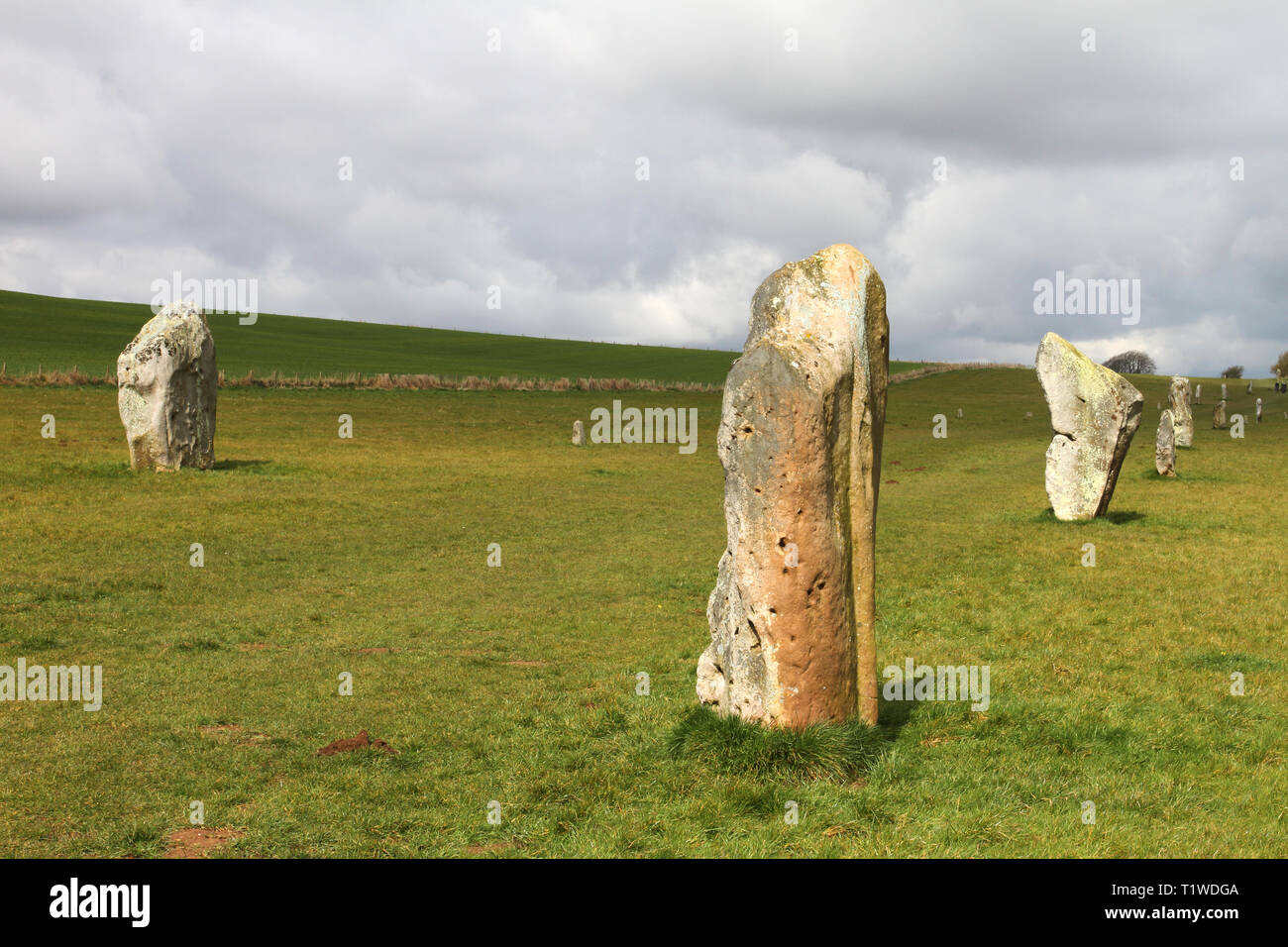 Avebury stone circles and the Avenue standing stones Stock Photo - Alamy