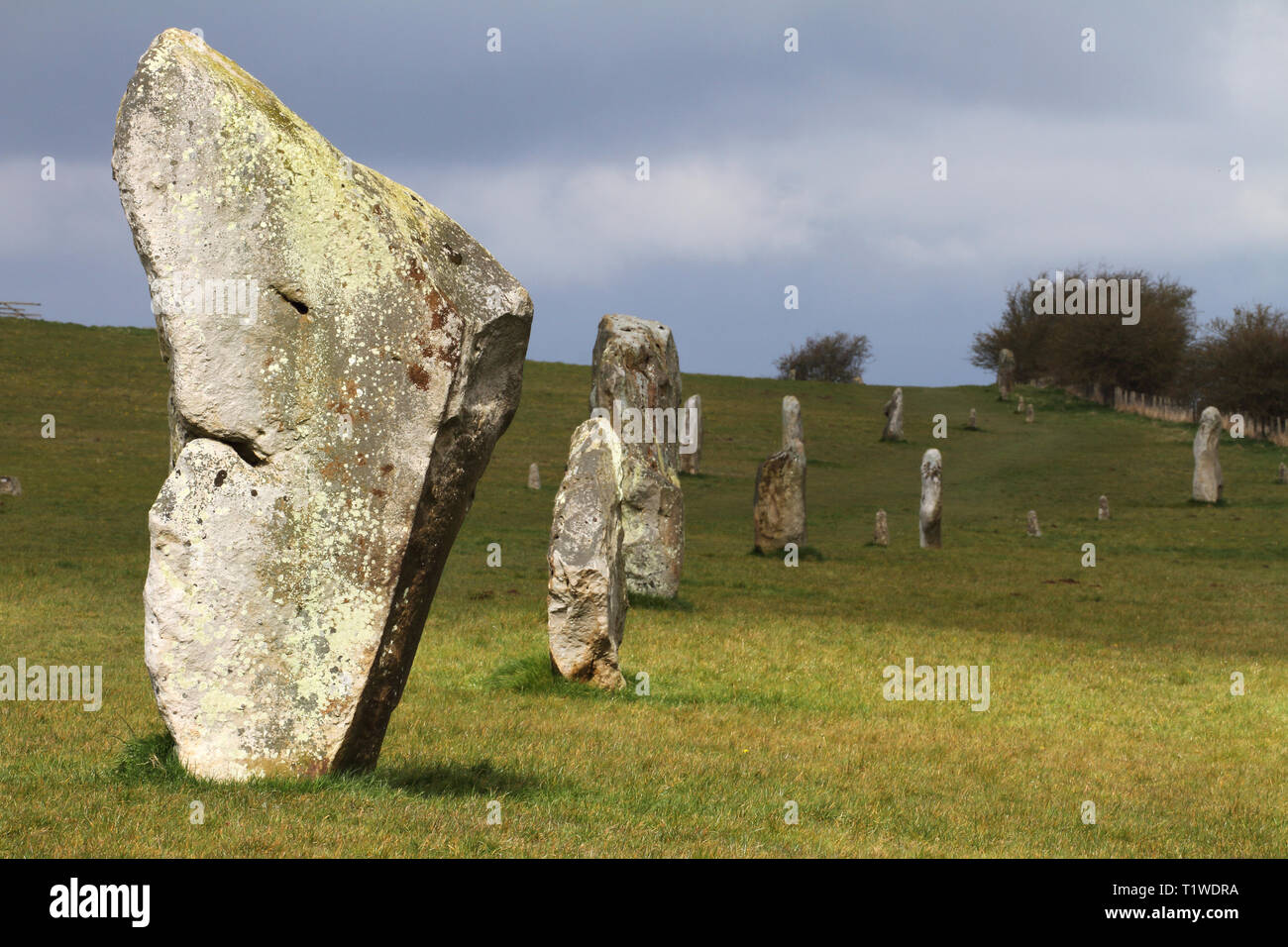 Avebury stone circles and the Avenue standing stones Stock Photo - Alamy
