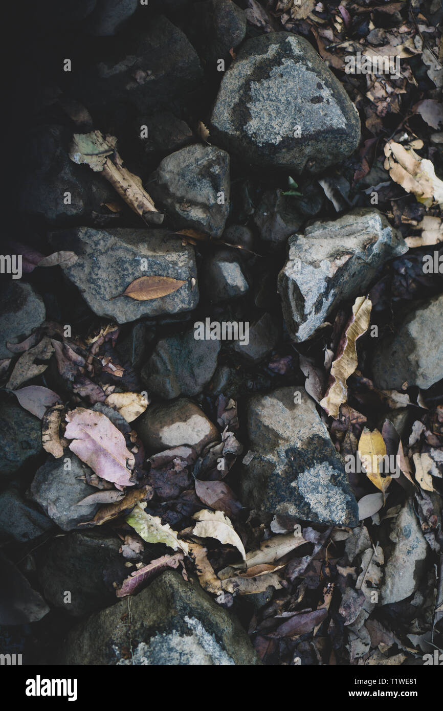 Wet black stone wallpapers hi-res stock photography and images - Alamy