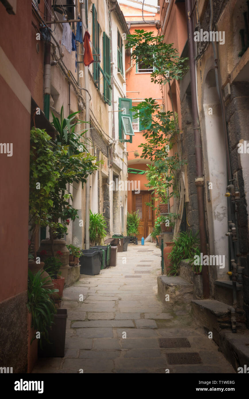 Typical vintage Italian street with ivy plant hanging off the walls ...