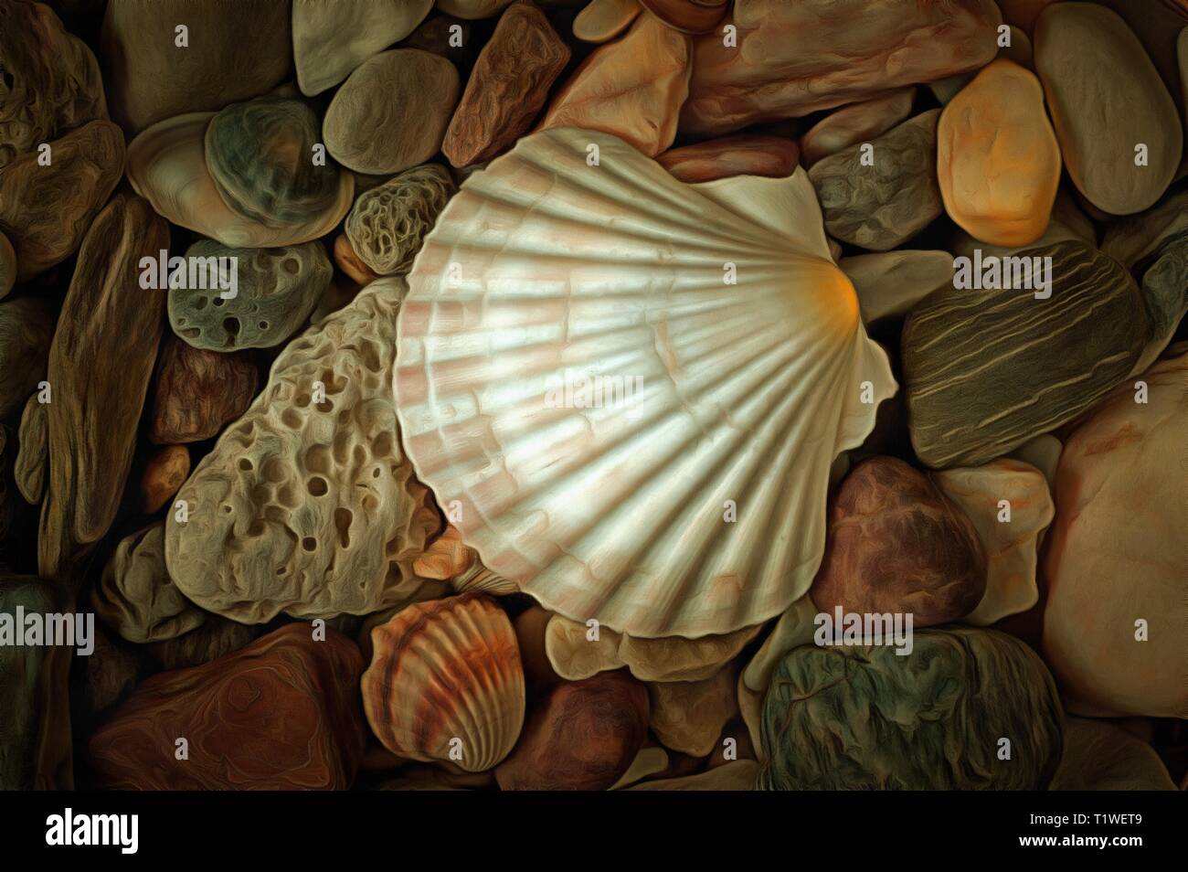 Shell On Sea Pebble Stones - digitall altered Stock Photo - Alamy