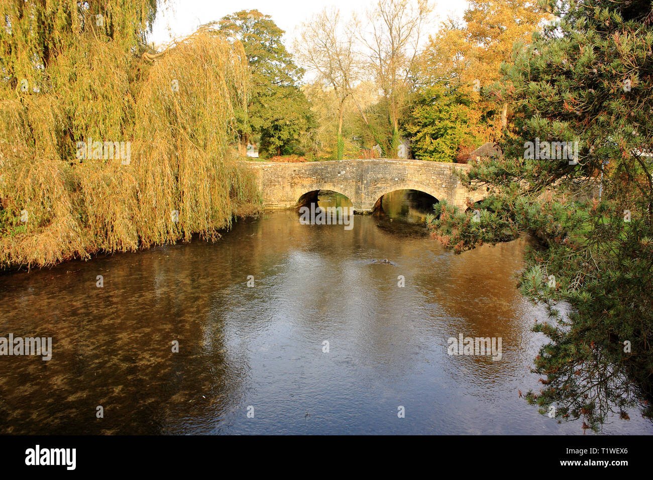 Woodland bridge over the river Coln in Bibury Stock Photo - Alamy