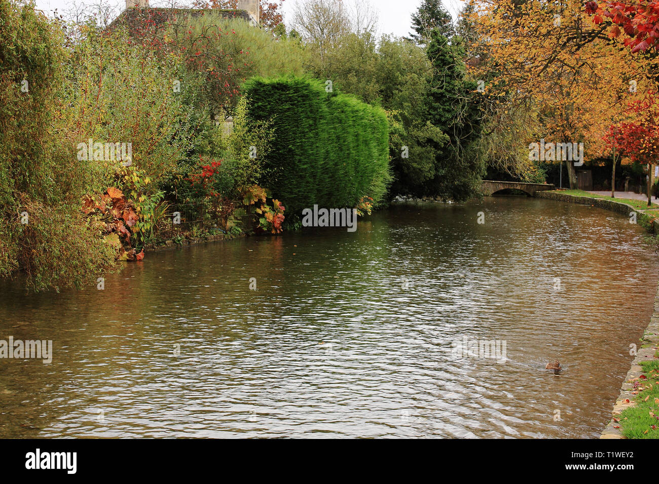 River eye in the cotswolds hi-res stock photography and images - Alamy