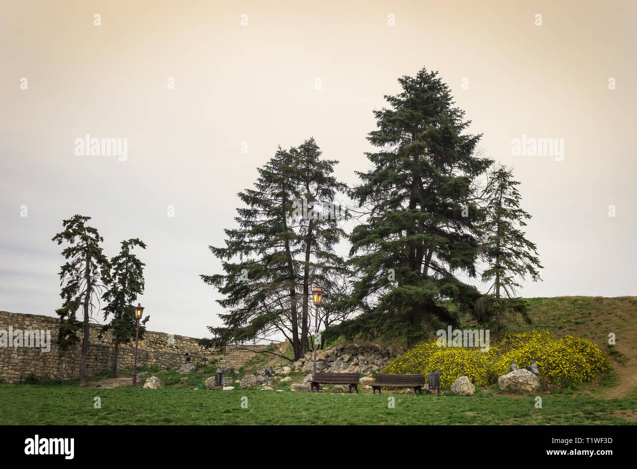 Wooden benches in Kalemegdan fortress park bellow a scenic trees and ...
