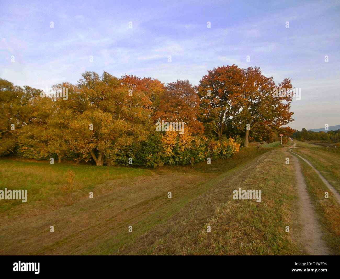 Autumn serenity dirt road hi-res stock photography and images - Alamy