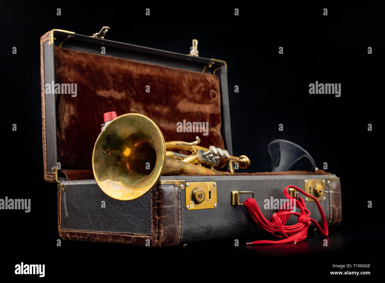 Old covered patina trumpet in a case. A historic wind musical ...