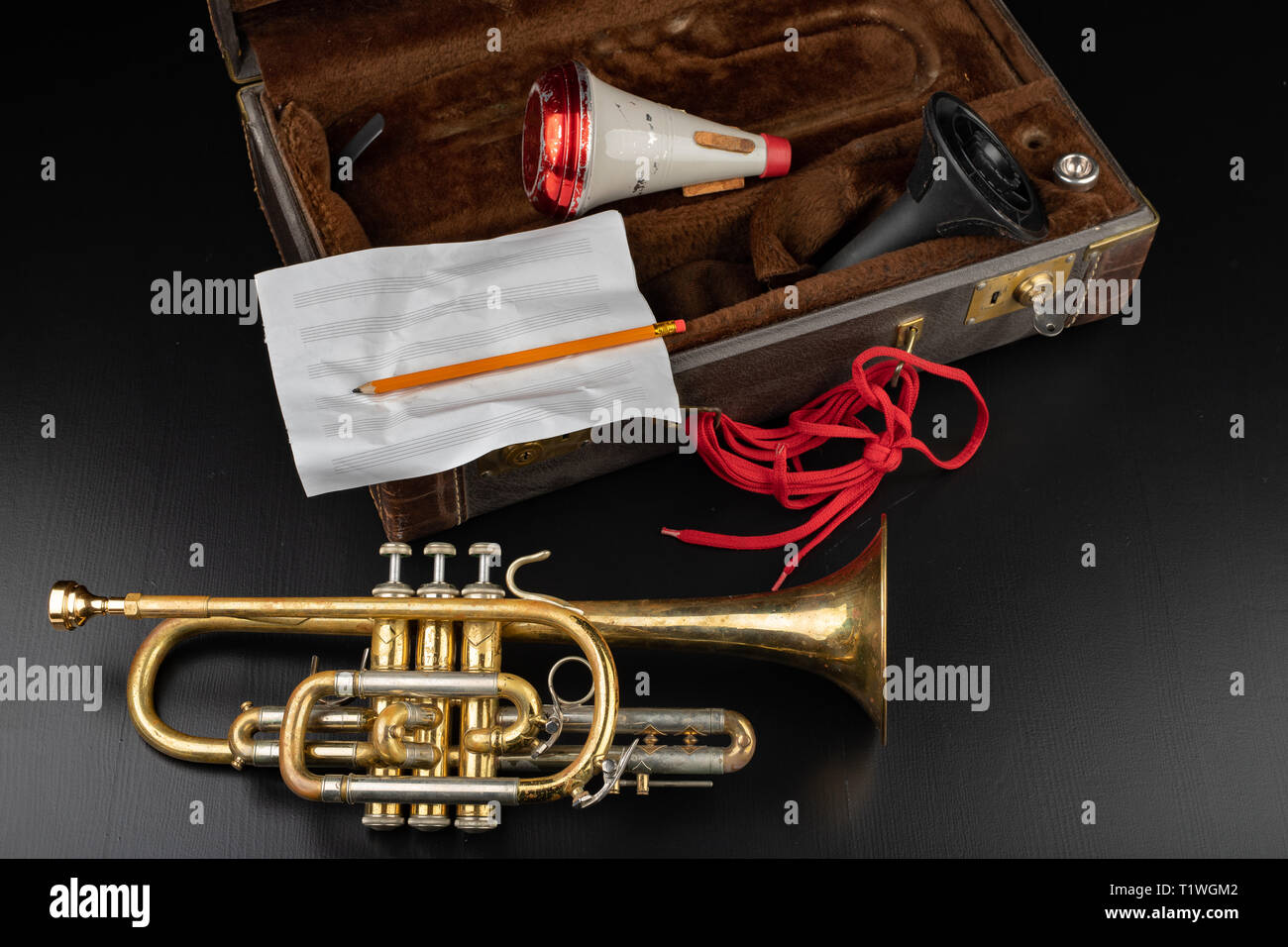 Old covered patina trumpet in a case. A historic wind musical ...