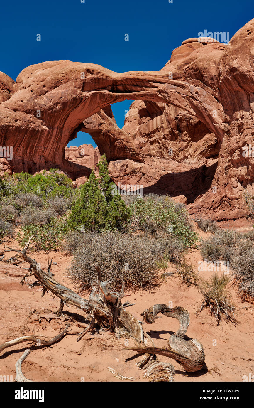 Double Arch in Arches National Park, Moab, Utah, USA, North America ...