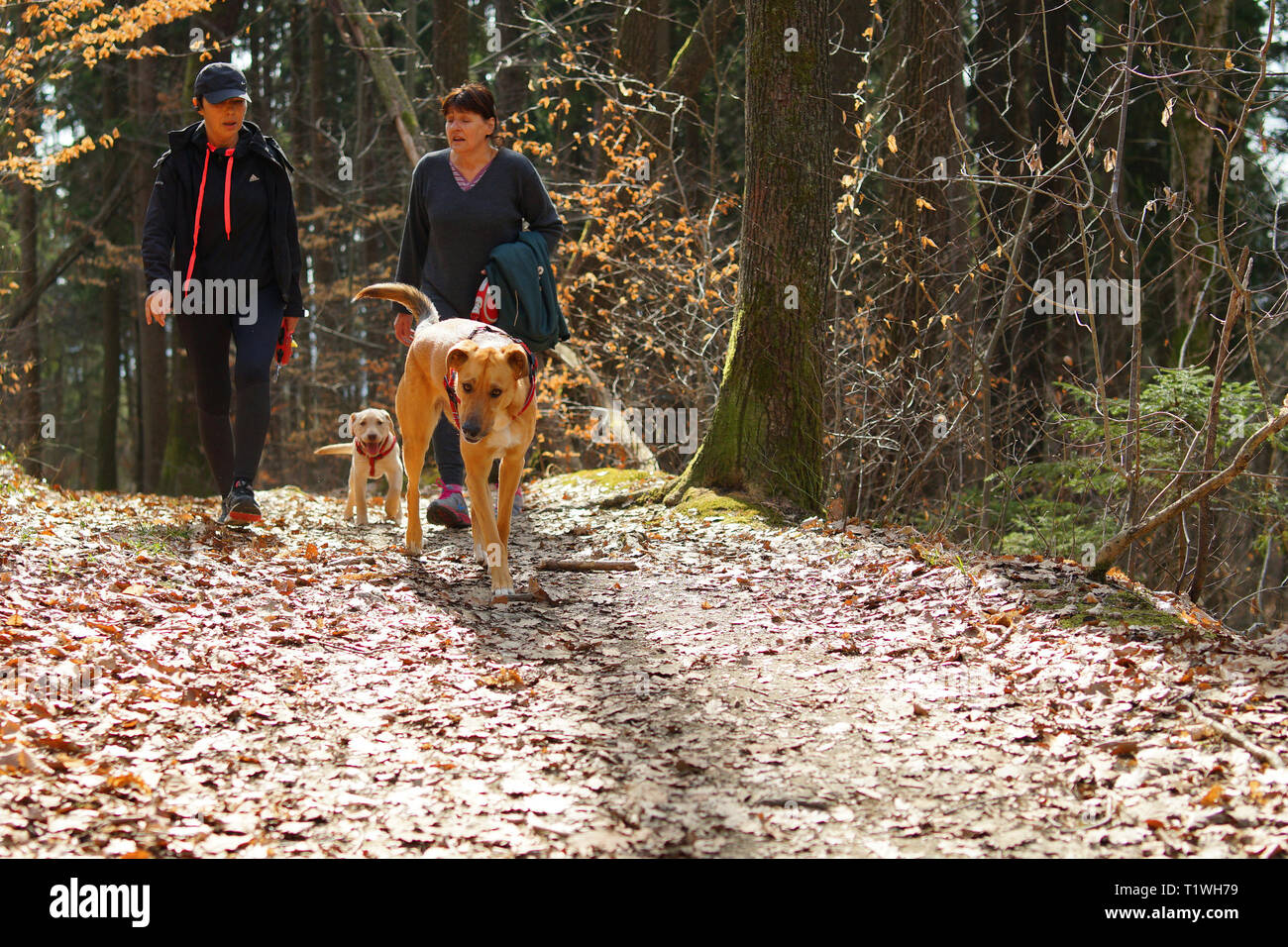 60 adorable hi-res stock photography and images - Alamy