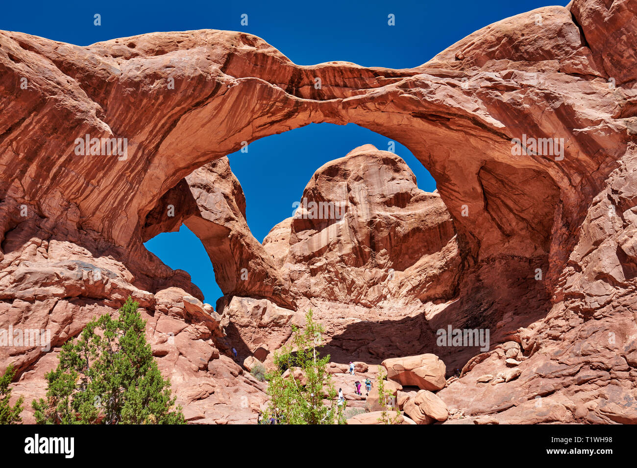 Double Arch in Arches National Park, Moab, Utah, USA, North America ...