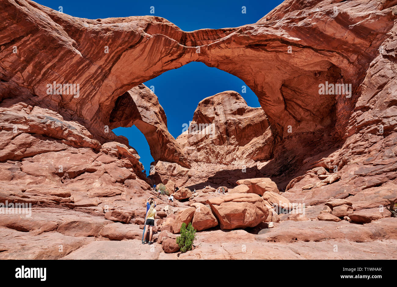 Double Arch in Arches National Park, Moab, Utah, USA, North America ...