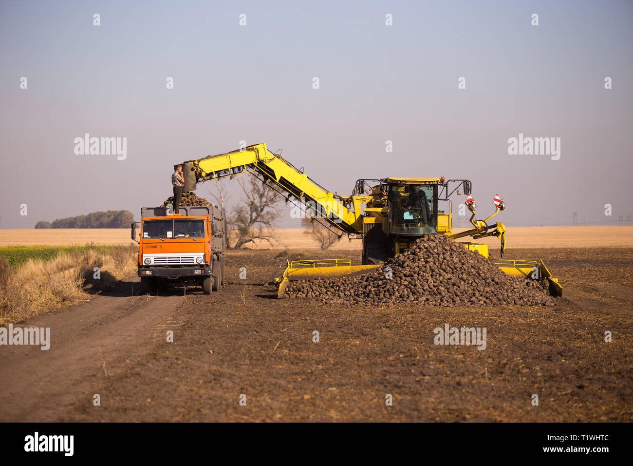 Loading crops on truck hi-res stock photography and images - Alamy