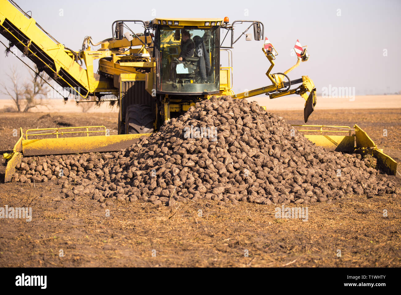 Loading crops on truck hi-res stock photography and images - Alamy