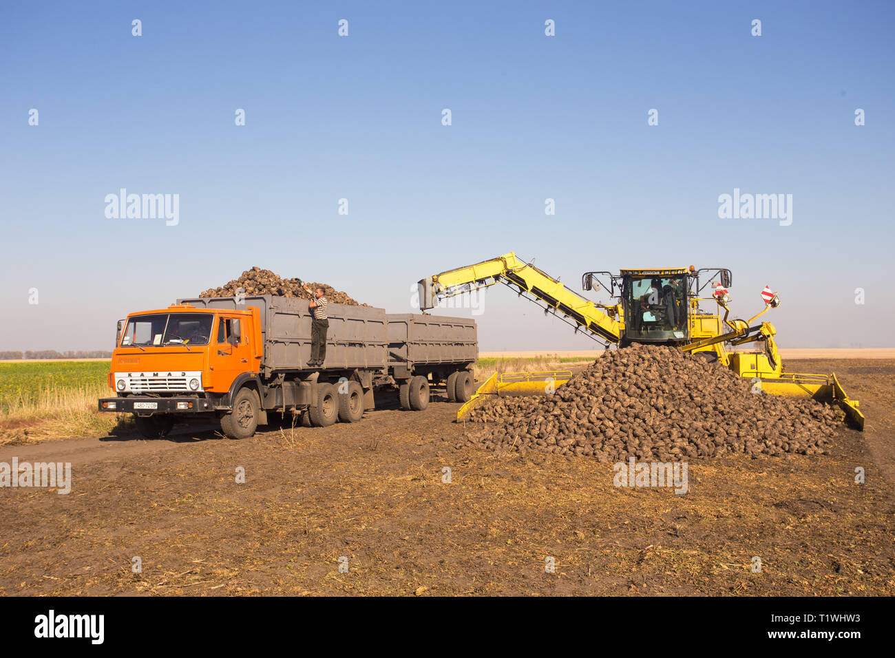 Beet loader hi-res stock photography and images - Alamy