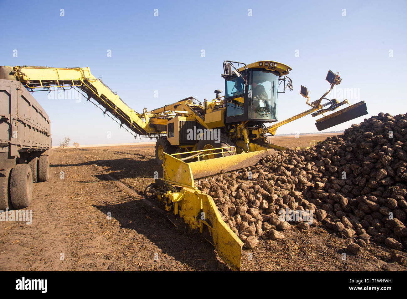 Beet loader hi-res stock photography and images - Alamy