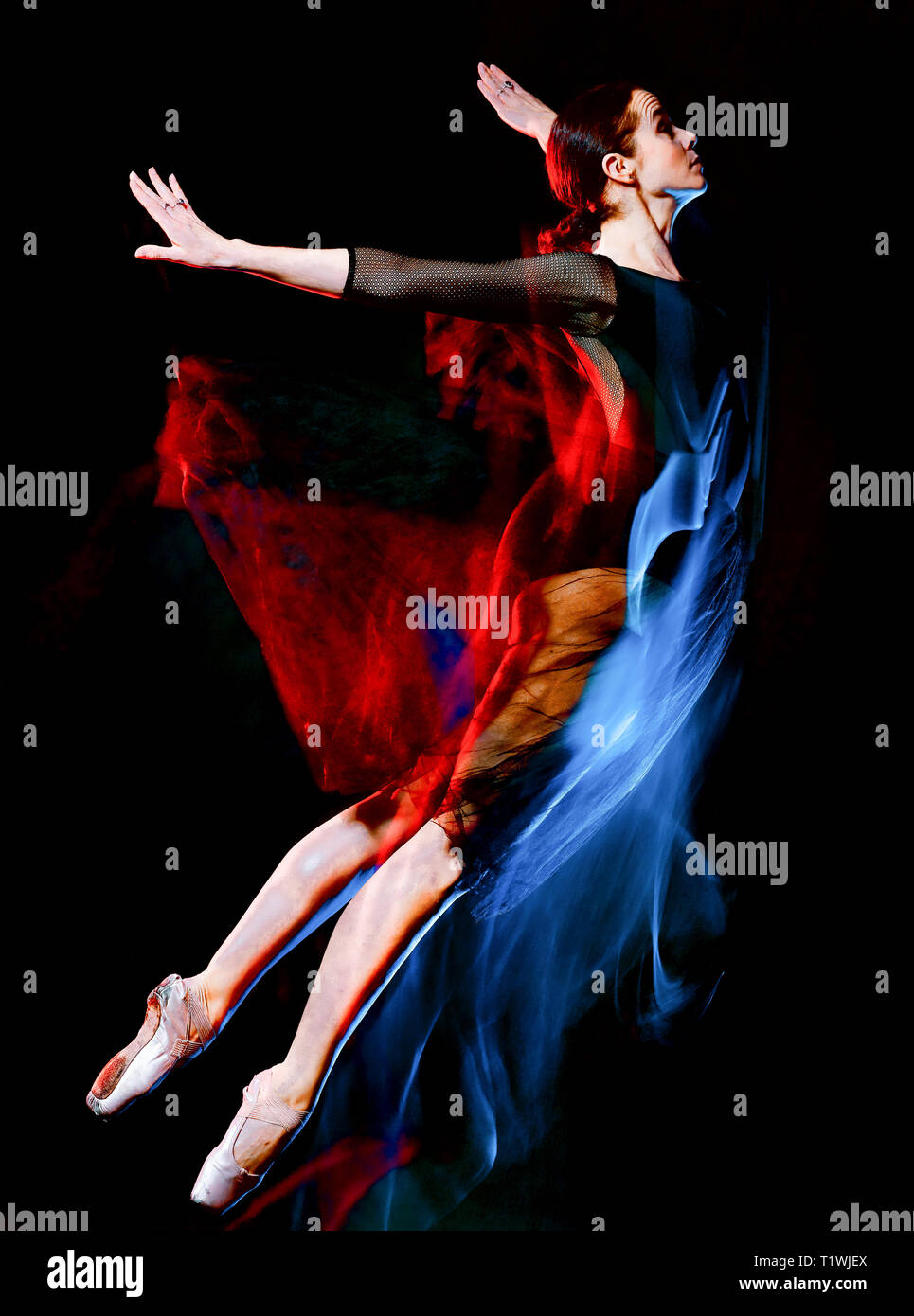 one caucasian woman ballerina classical ballet dancer dancing woman ...