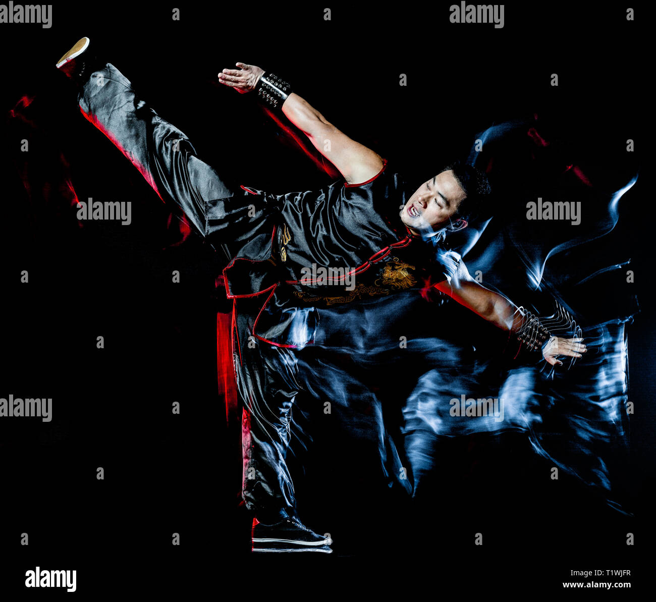 wushu chinese boxing kung fu Hung Gar fighter isolated man isolated on ...