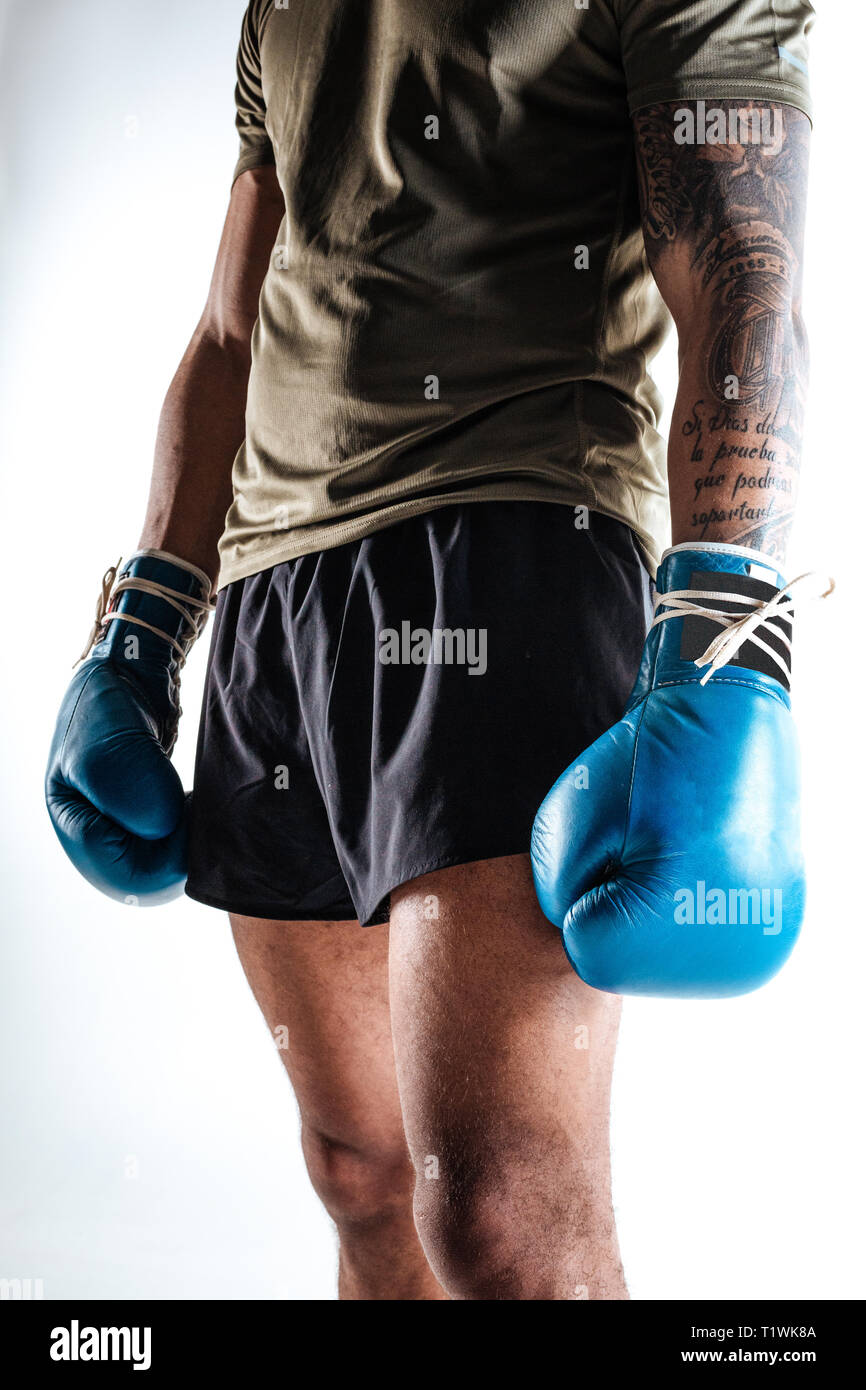 Boxers sportive figure with blue boxing gloves Stock Photo - Alamy
