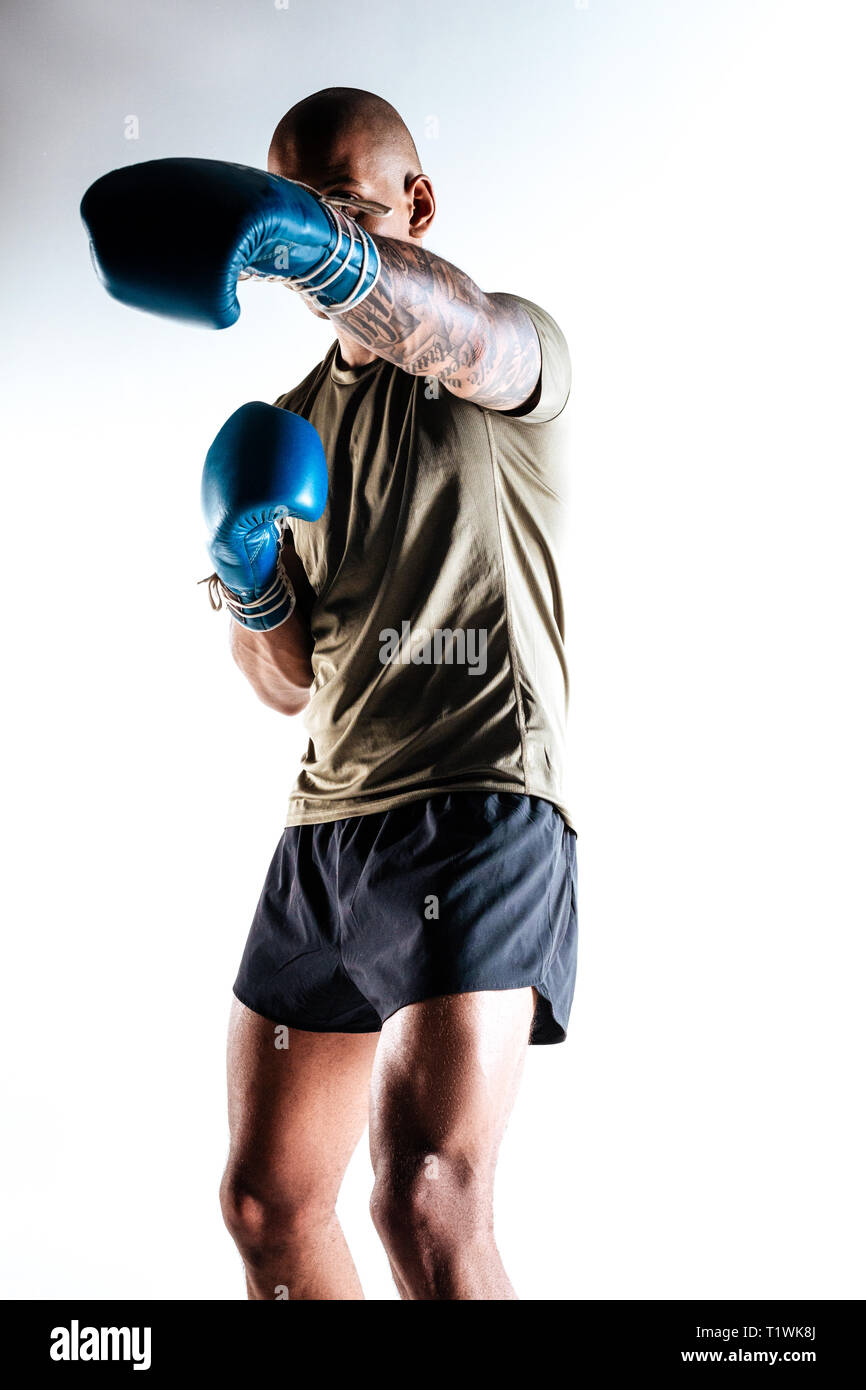 Man wearing boxing gloves hi-res stock photography and images - Alamy