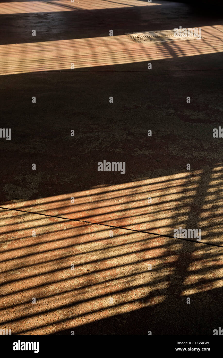 WA16074-00...WASHINGTON - Window silhouettes on the floor of the ...