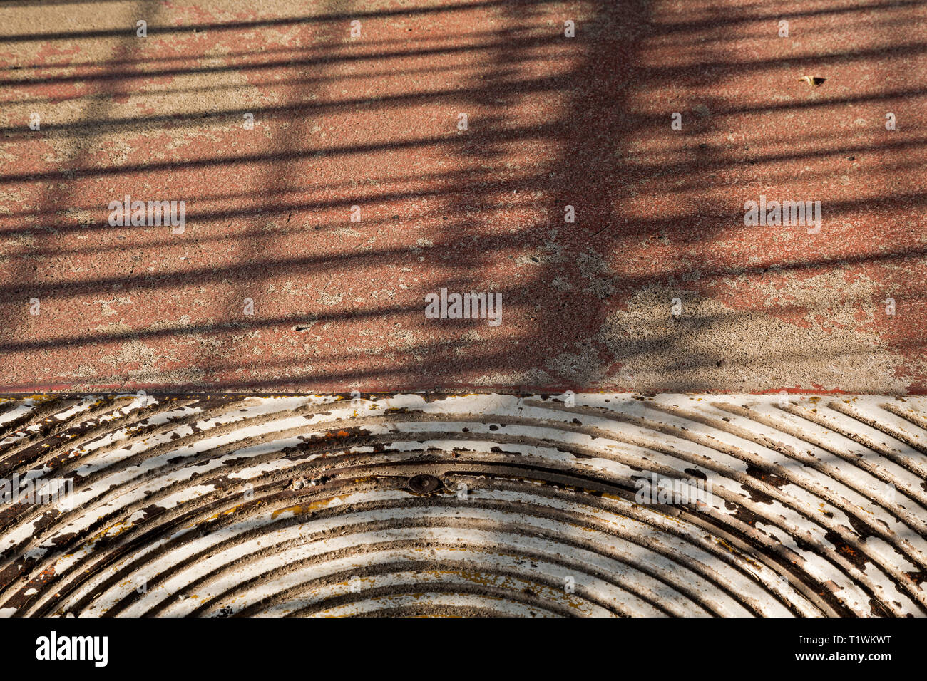 WA16077-00...WASHINGTON - Window silhouettes on the floor of the ...