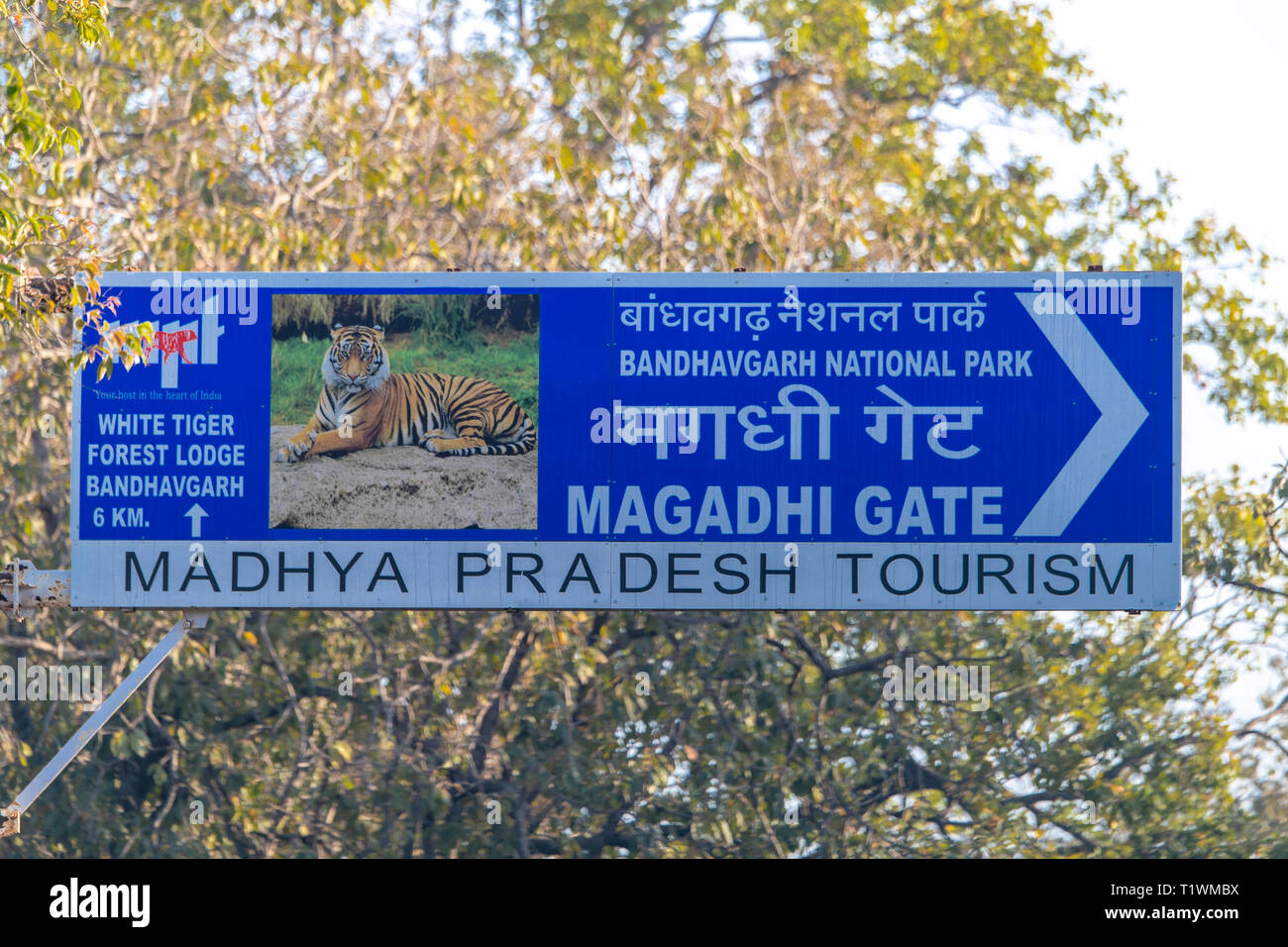 Magadhi safari zone hi-res stock photography and images - Alamy