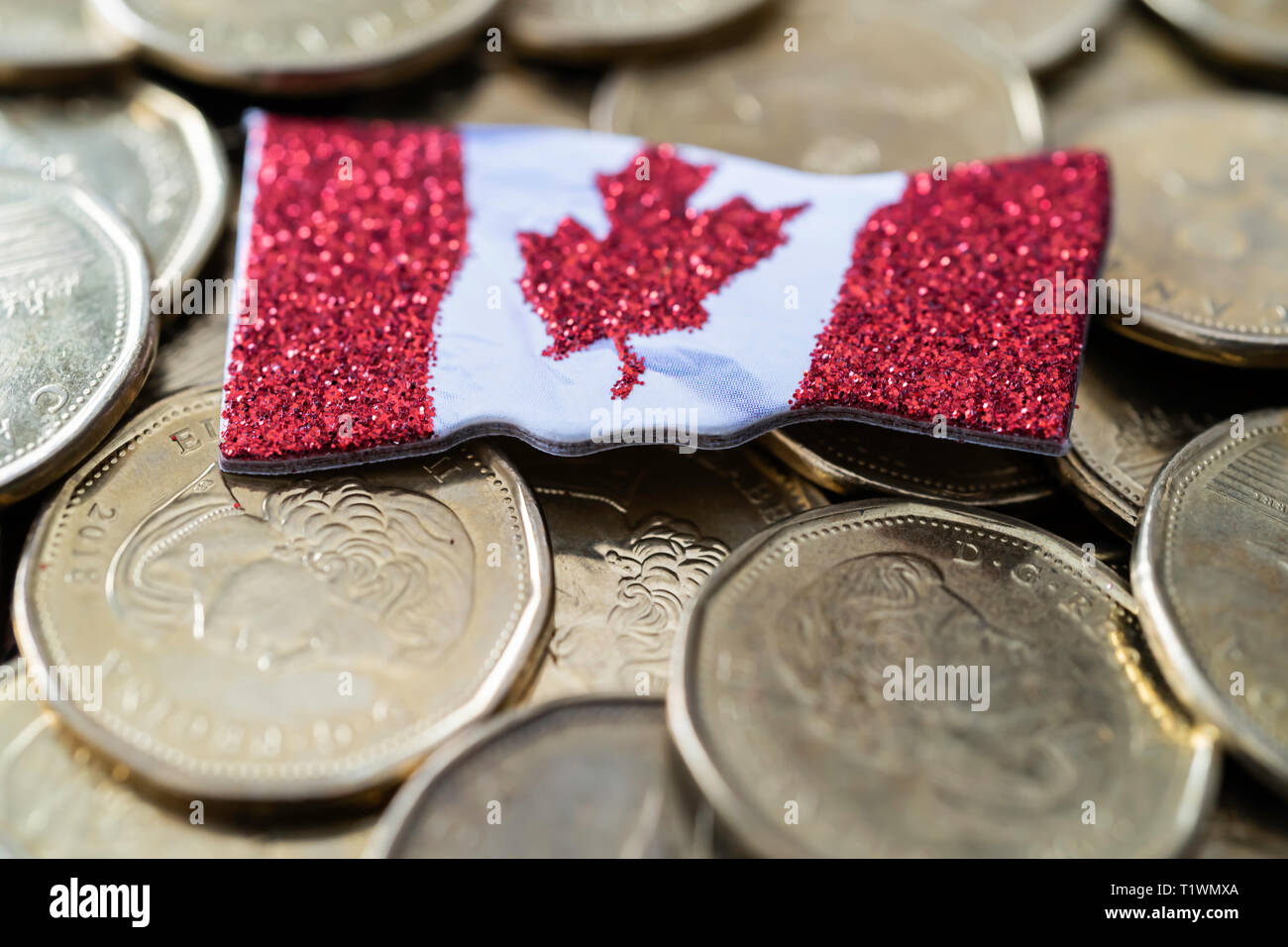Canadian one dollar coins with a canadian flag Stock Photo - Alamy