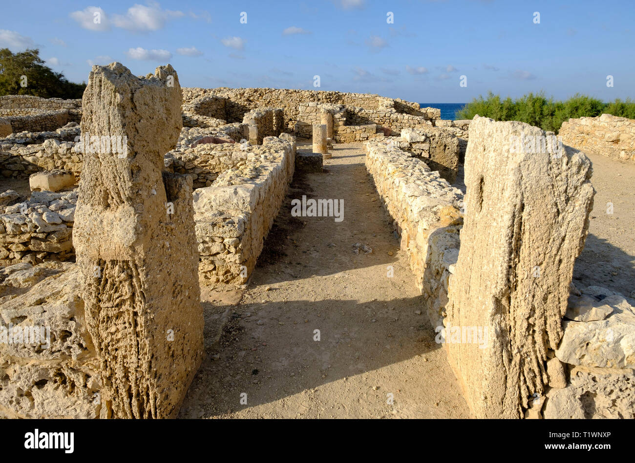 Phoenician punic archeology hi-res stock photography and images - Alamy
