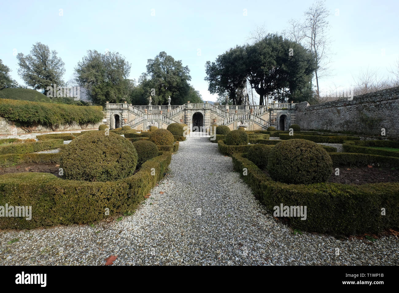 Torrigiani hi-res stock photography and images - Alamy