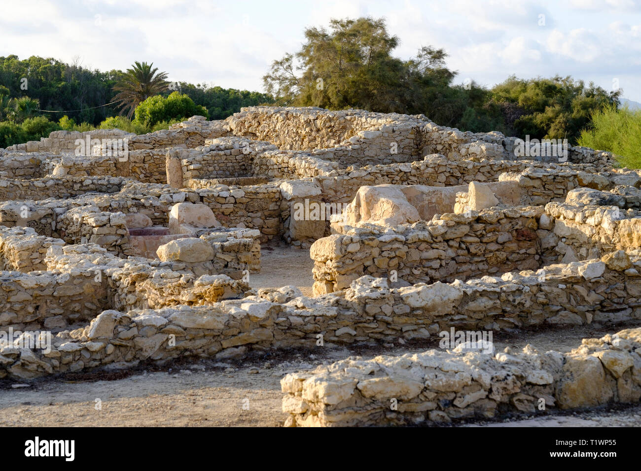Phoenician punic archeology hi-res stock photography and images - Alamy