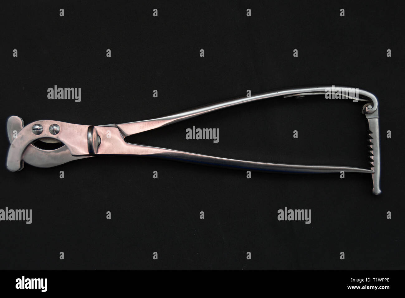 Spectrum Instruments Veterinary