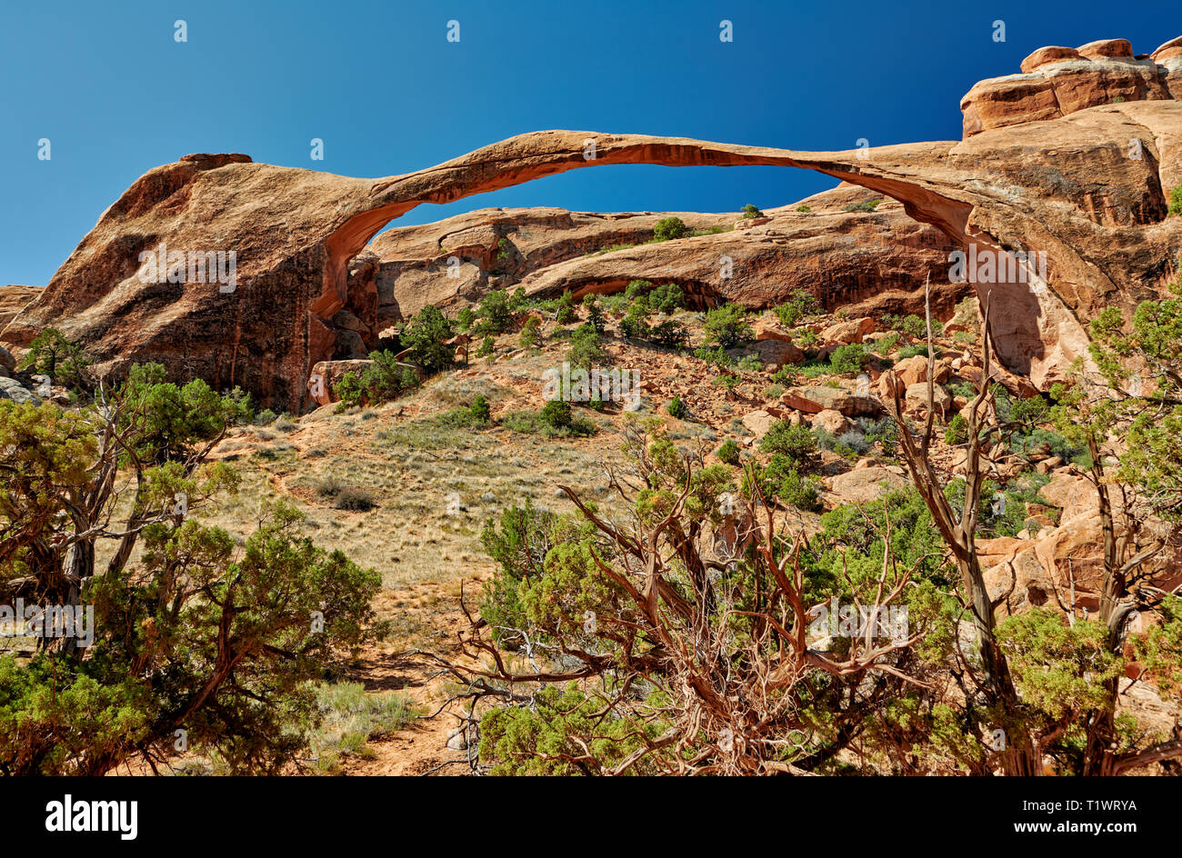 Landscape Arch in Arches National Park, Moab, Utah, USA, North America ...
