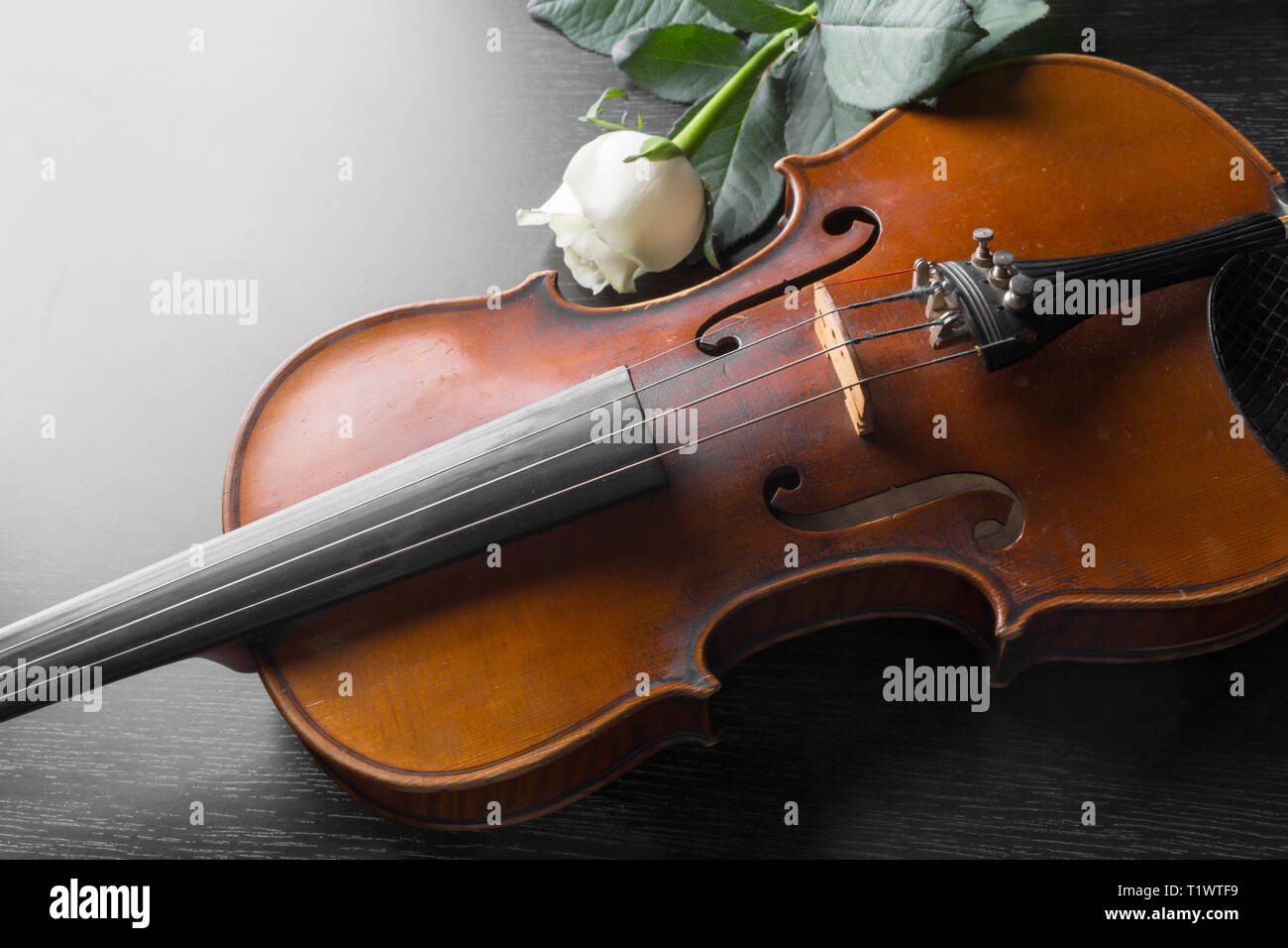 Violin and rose on black background Stock Photo - Alamy