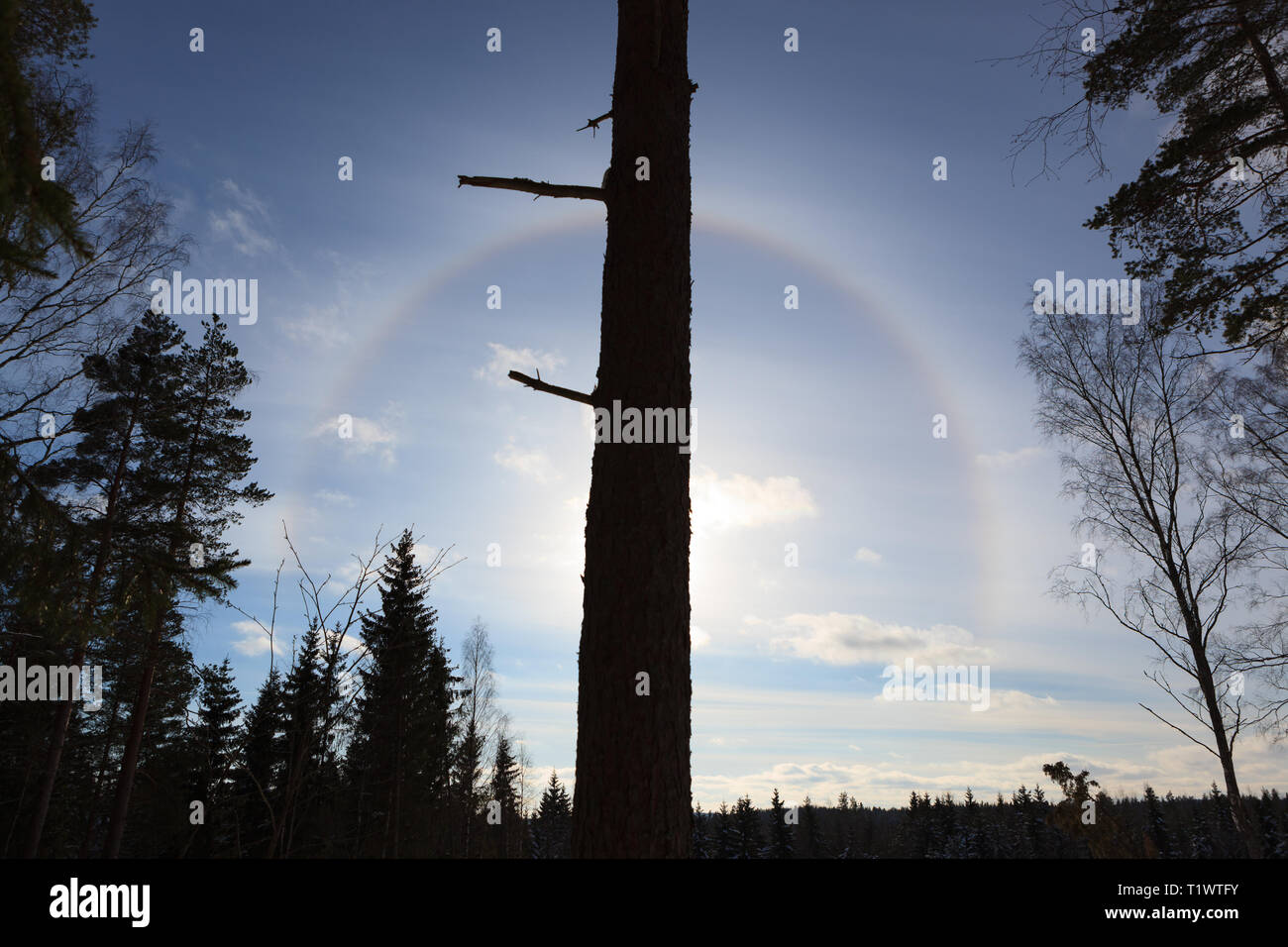 Halo circular hi-res stock photography and images - Alamy