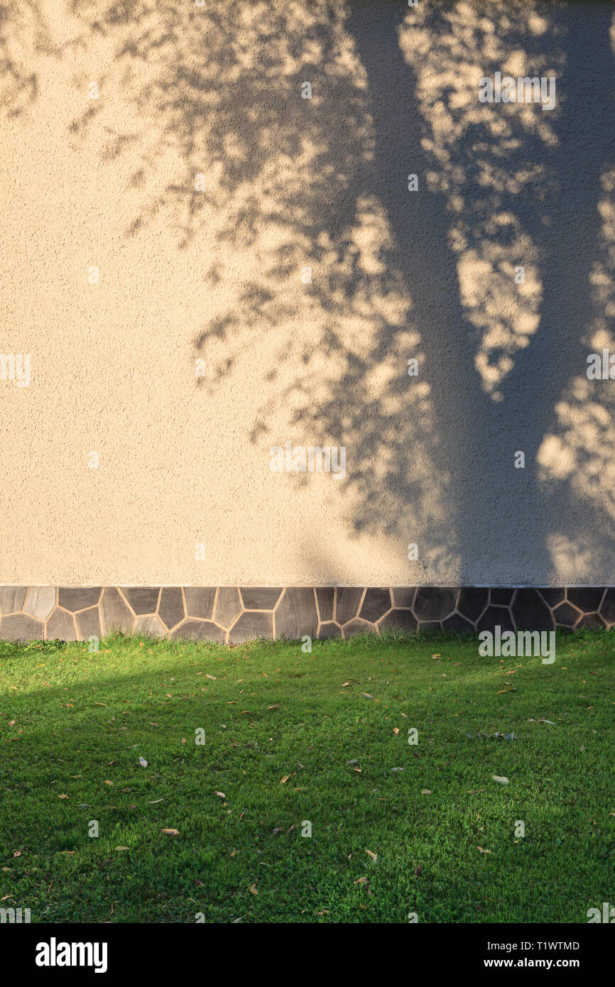 Tree shadow in building wall Stock Photo - Alamy