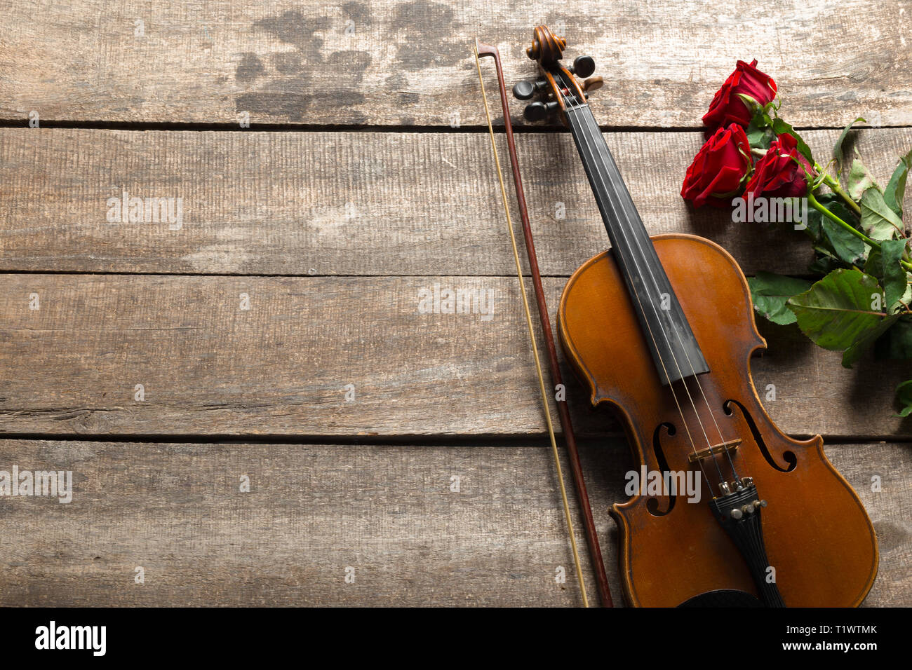 Red roses and a violin Stock Photo - Alamy