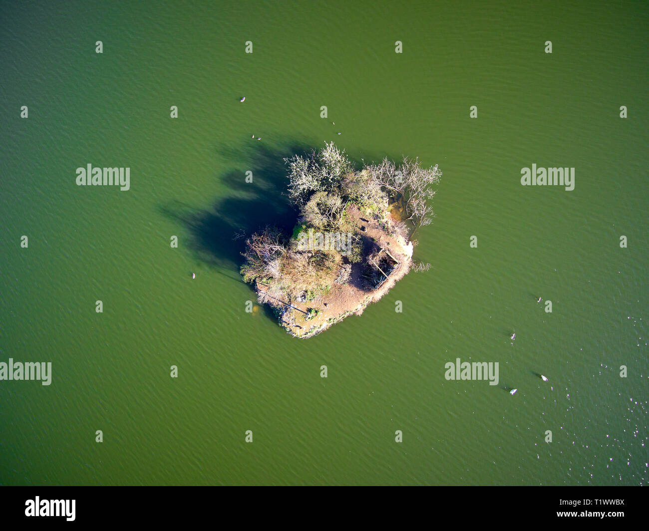 Adolfosee hi-res stock photography and images - Alamy