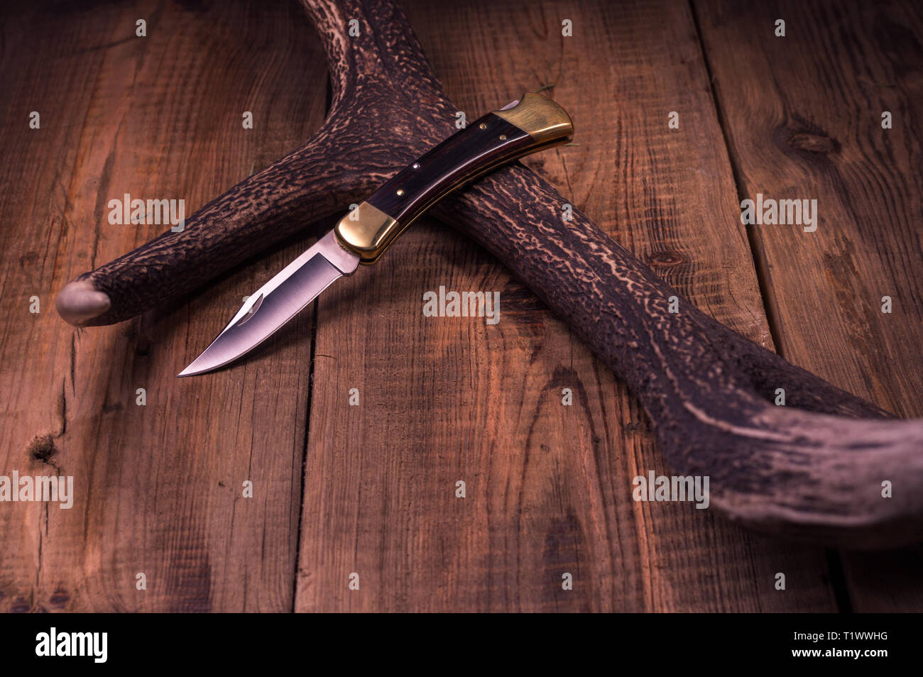 Knife in frame. Folding hunting knife. Cowboy knife. Front view on the ...
