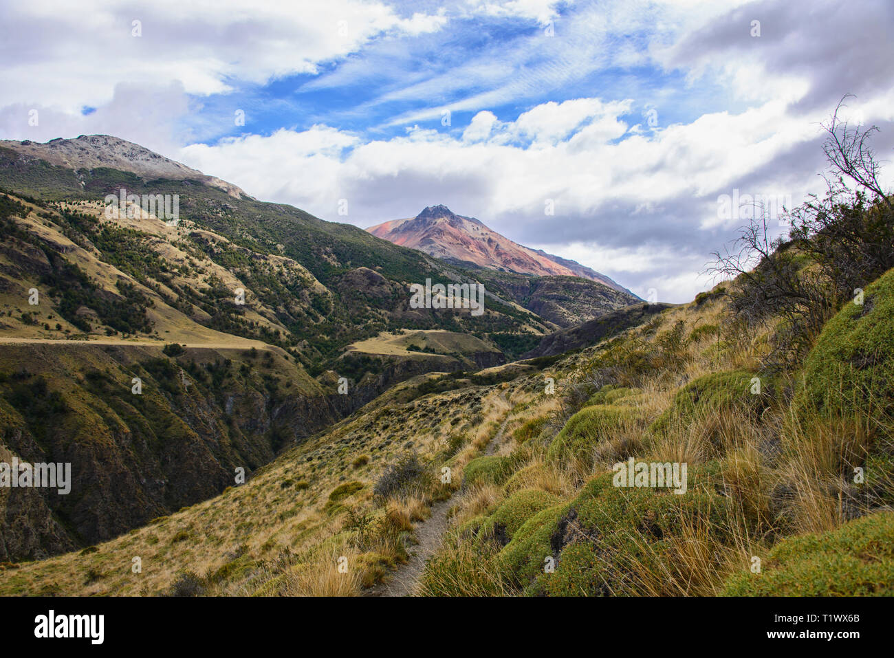 Views in the beautiful Patagonia National Park, Aysen, Patagonia, Chile ...