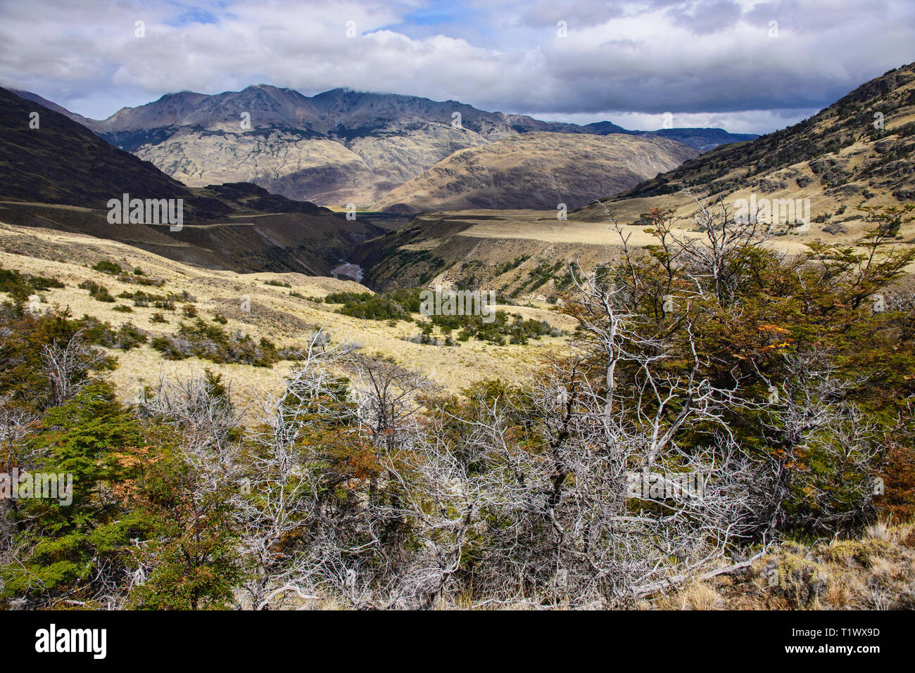 Views in the beautiful Patagonia National Park, Aysen, Patagonia, Chile ...