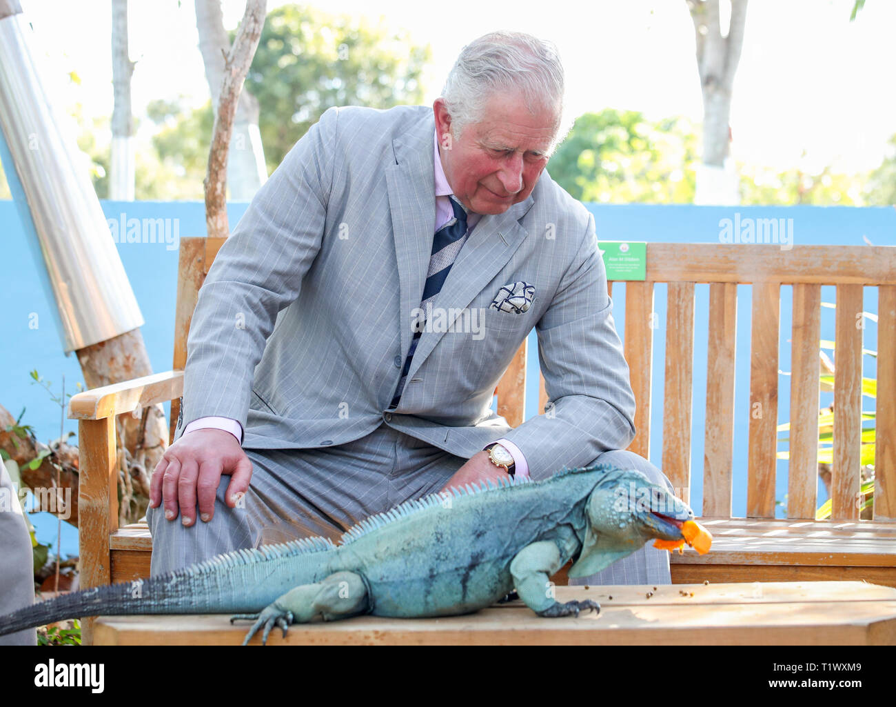 The Prince of Wales with a blue iguana called Peter at the Queen ...