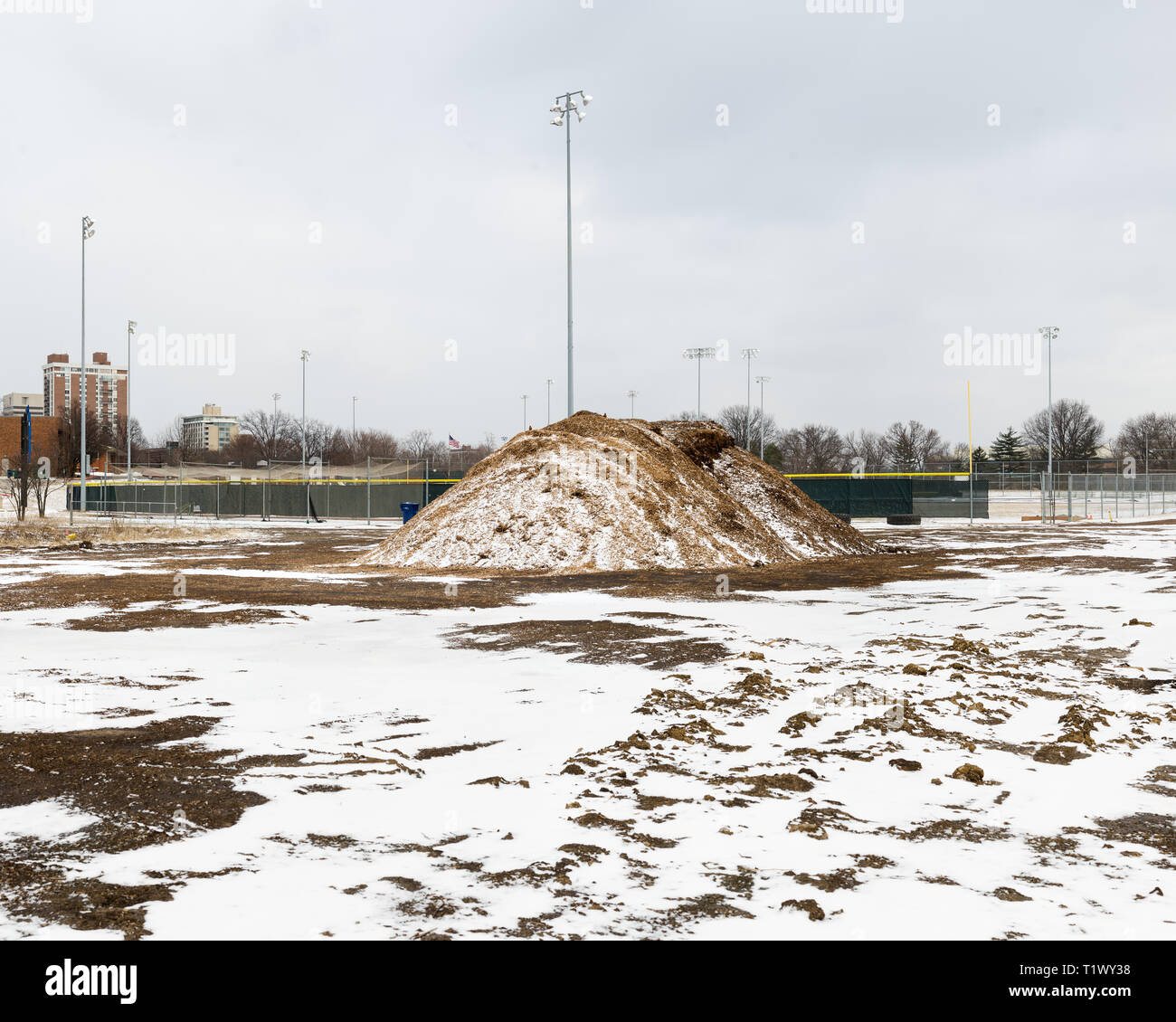 Mulch tree texture hi-res stock photography and images - Alamy