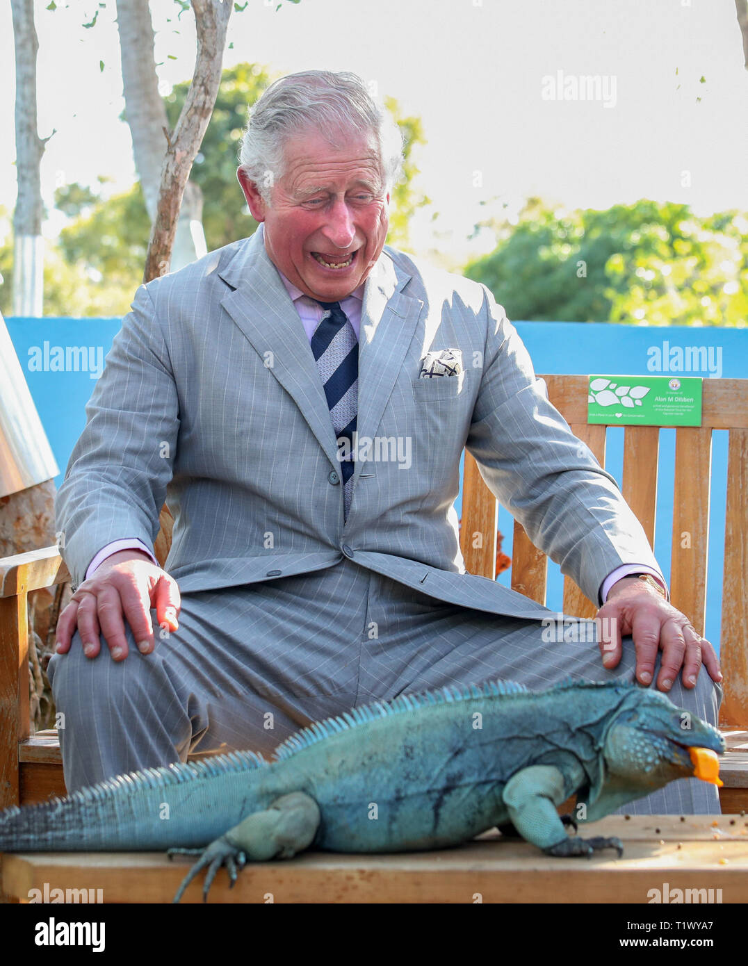 The Prince of Wales with a blue iguana called Peter at the Queen ...