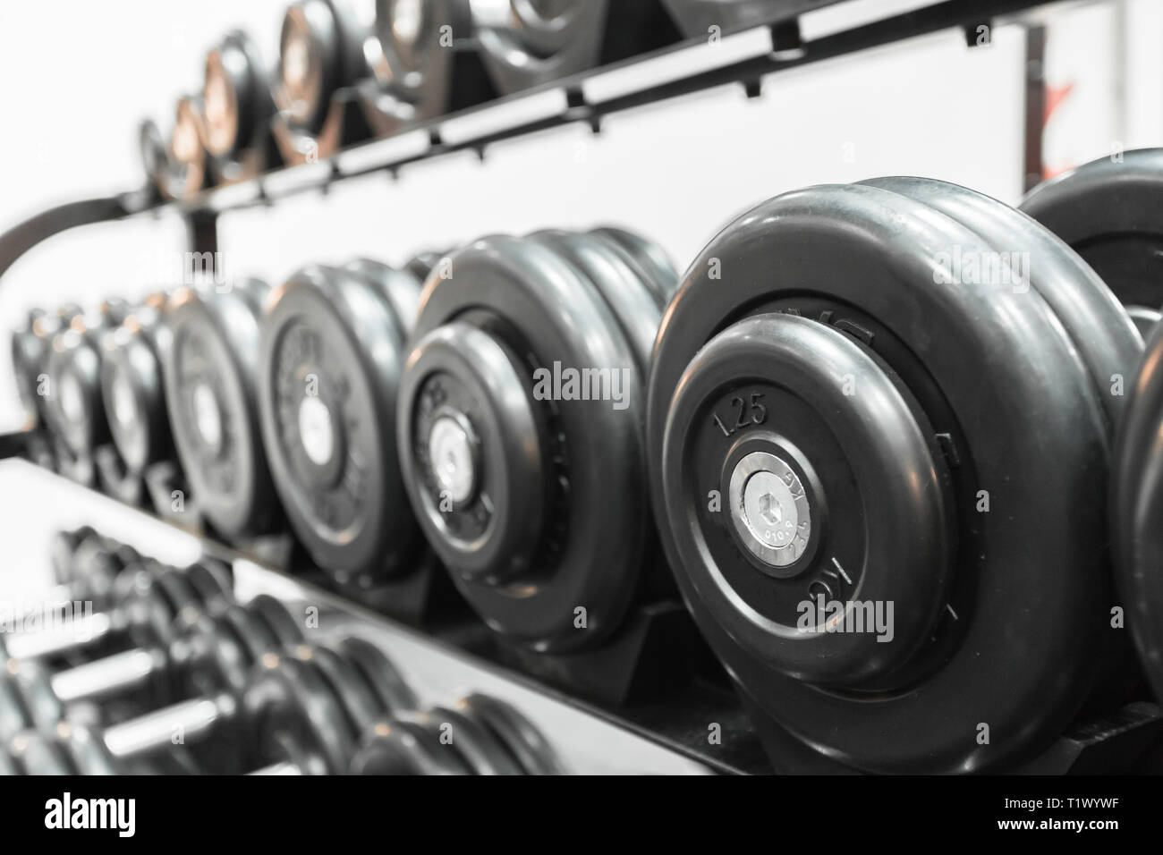 Dumbbells in the gym Stock Photo - Alamy