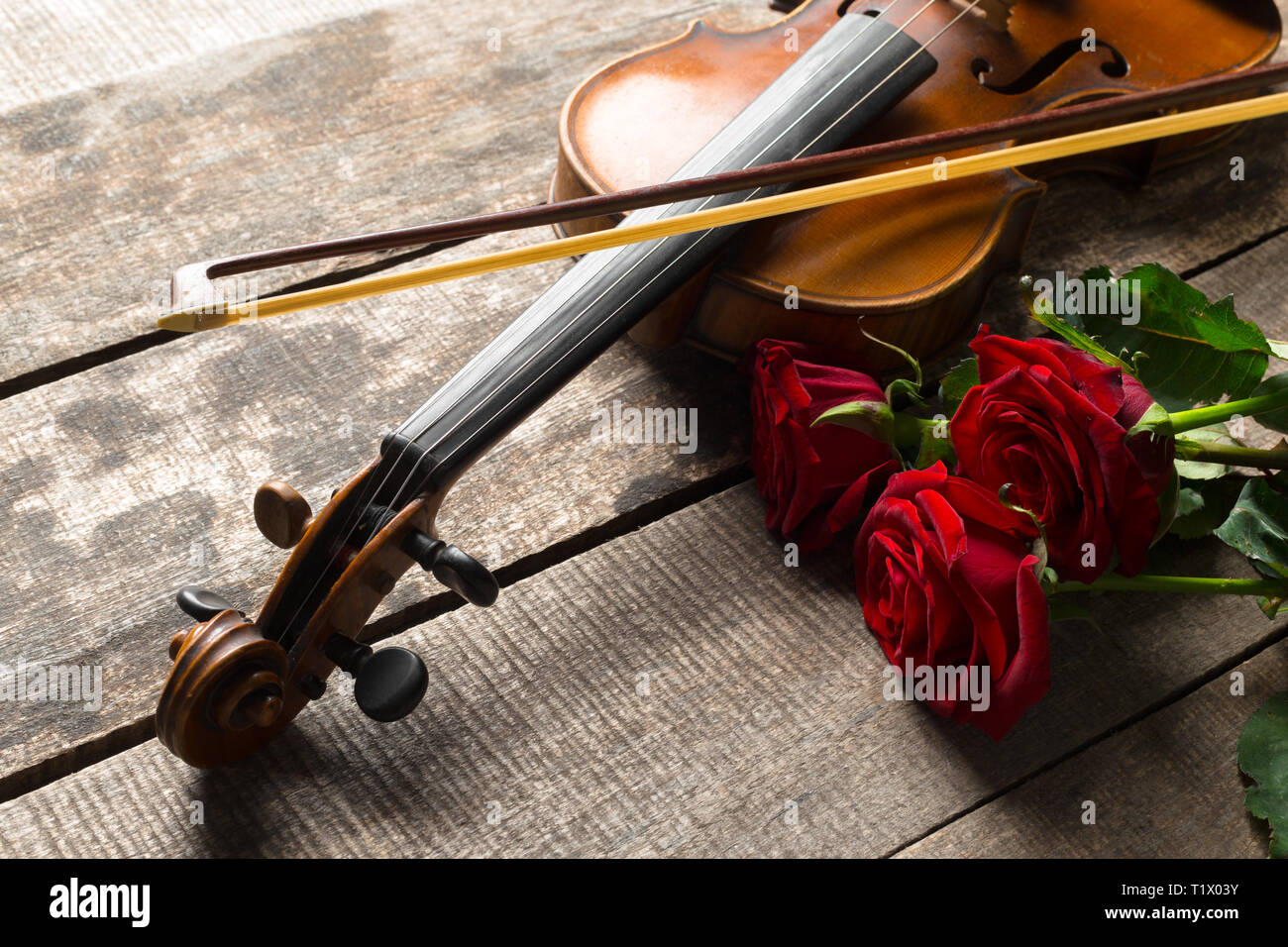 Red roses and a violin Stock Photo - Alamy