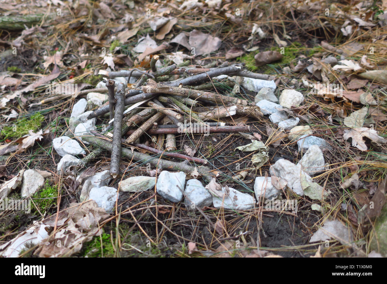Unlit campfire hi-res stock photography and images - Alamy