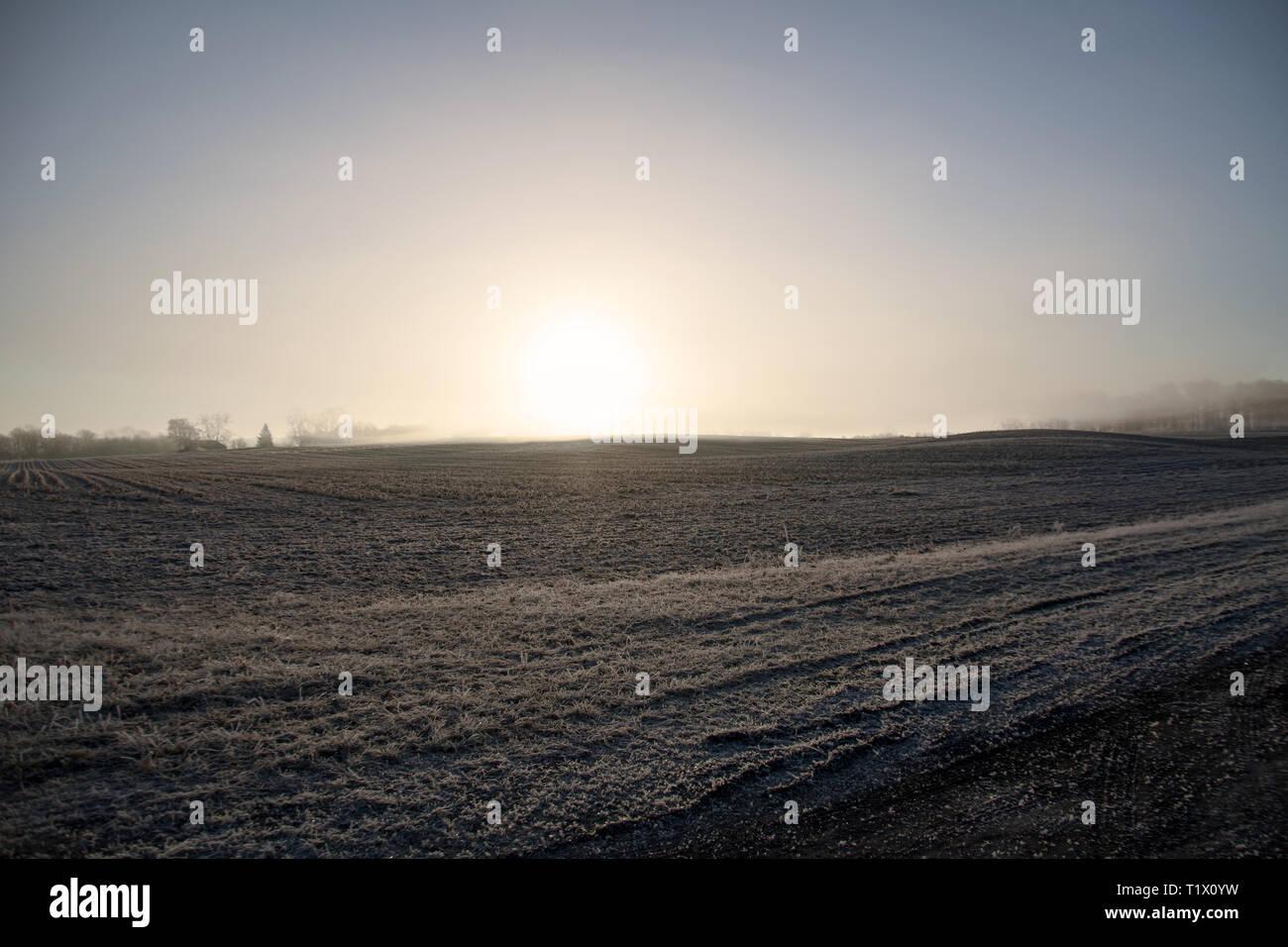 A beautiful sunrise with the sun rising through the mist before an open ...